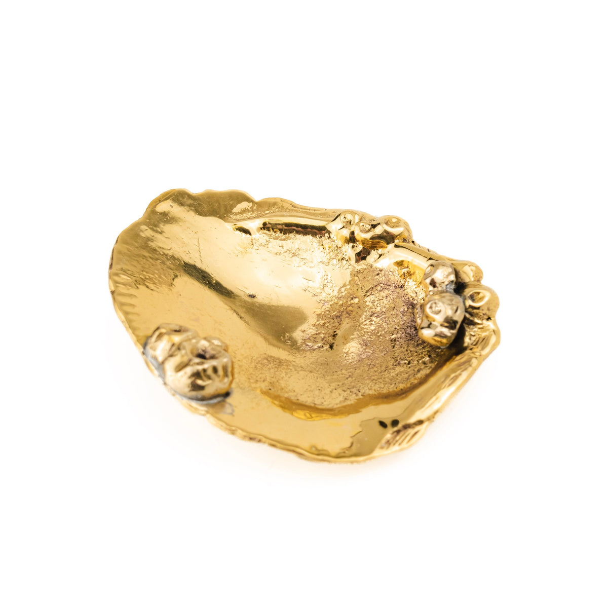 Barnacle Salt Dish | Adobe by Jess Vargas