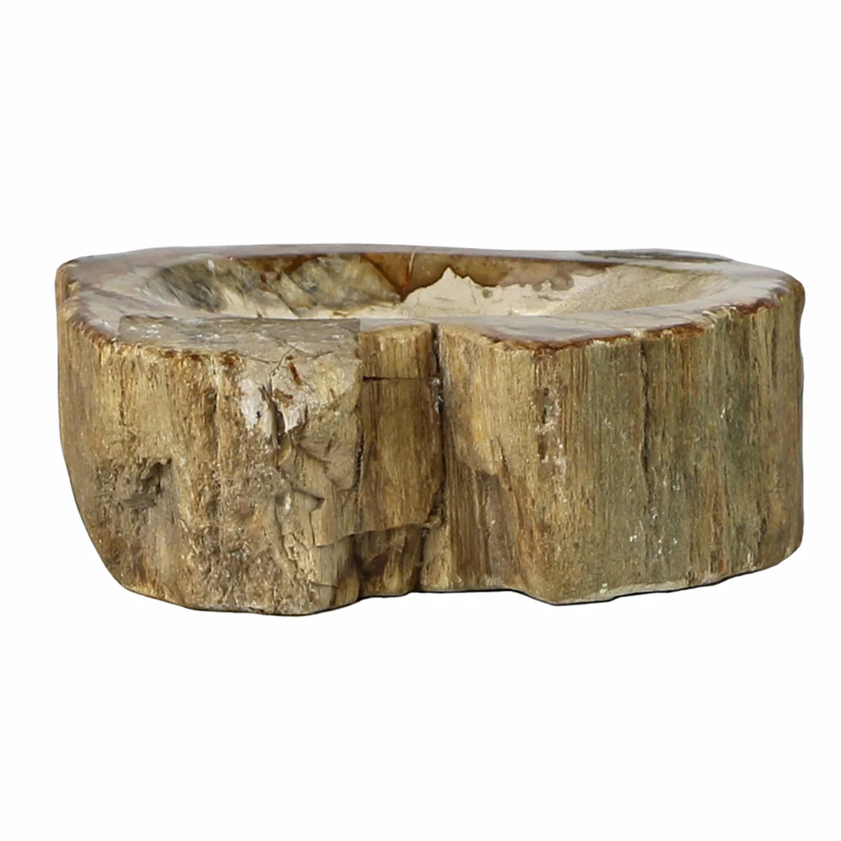 Petrified Wood Soap Dish | Adobe by Jess Vargas
